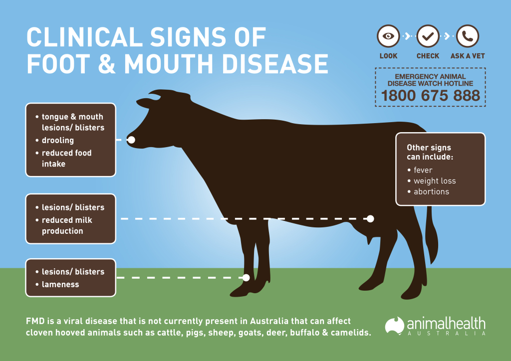 Do you know the signs of foot and mouth disease? - Farm Biosecurity