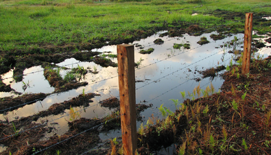 Controlling mosquitoes around piggeries - Farm Biosecurity