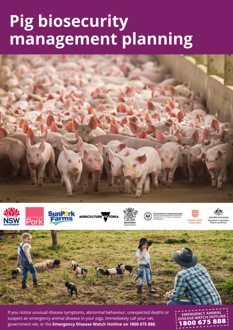 Pig biosecurity management resources - Farm Biosecurity