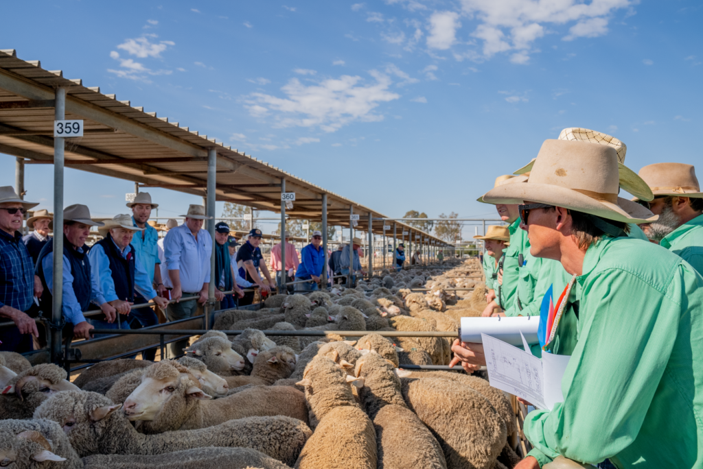 Protect your flock: insist on a National Sheep Health Declaration ...